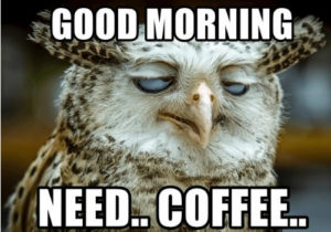 Our Favorites: Collection of Coffee Memes (95+ Funny Coffee Memes ...